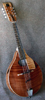 Herb Taylor Instruments ~ Mandolins & Mandolas